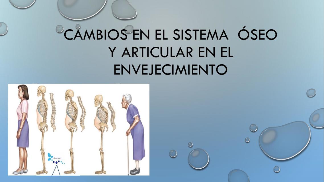 Cambios en el sistema óseo y articular en el adulto mayor PAULA