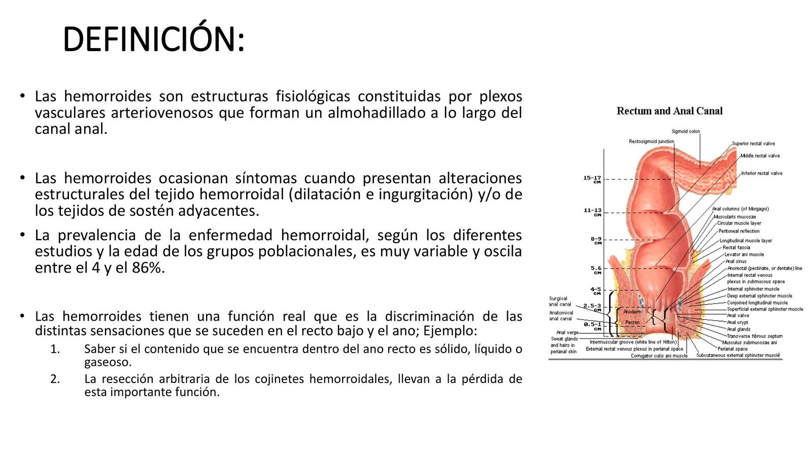 Enfermedades Anorrectales | Stefy Silva | uDocz