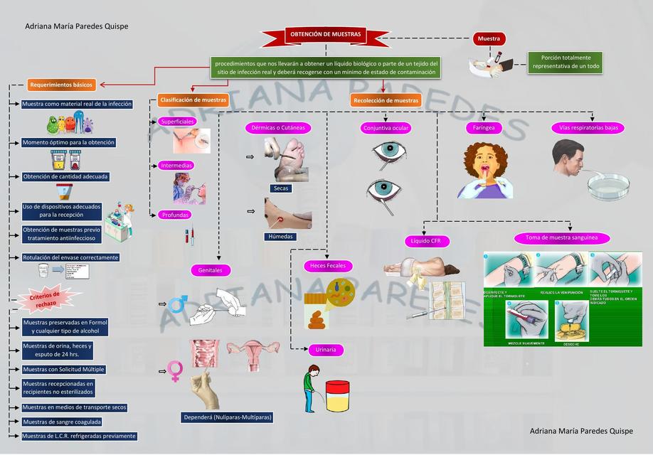 Toma de muestra | Adriana Paredes | uDocz