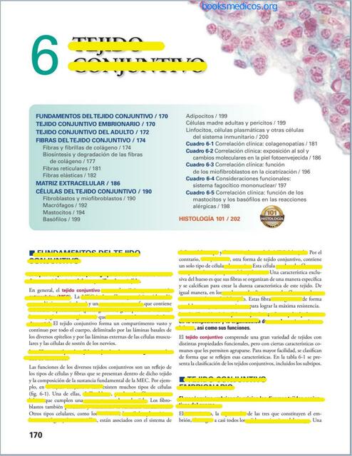 Cap 6 | Haydee Perez | uDocz