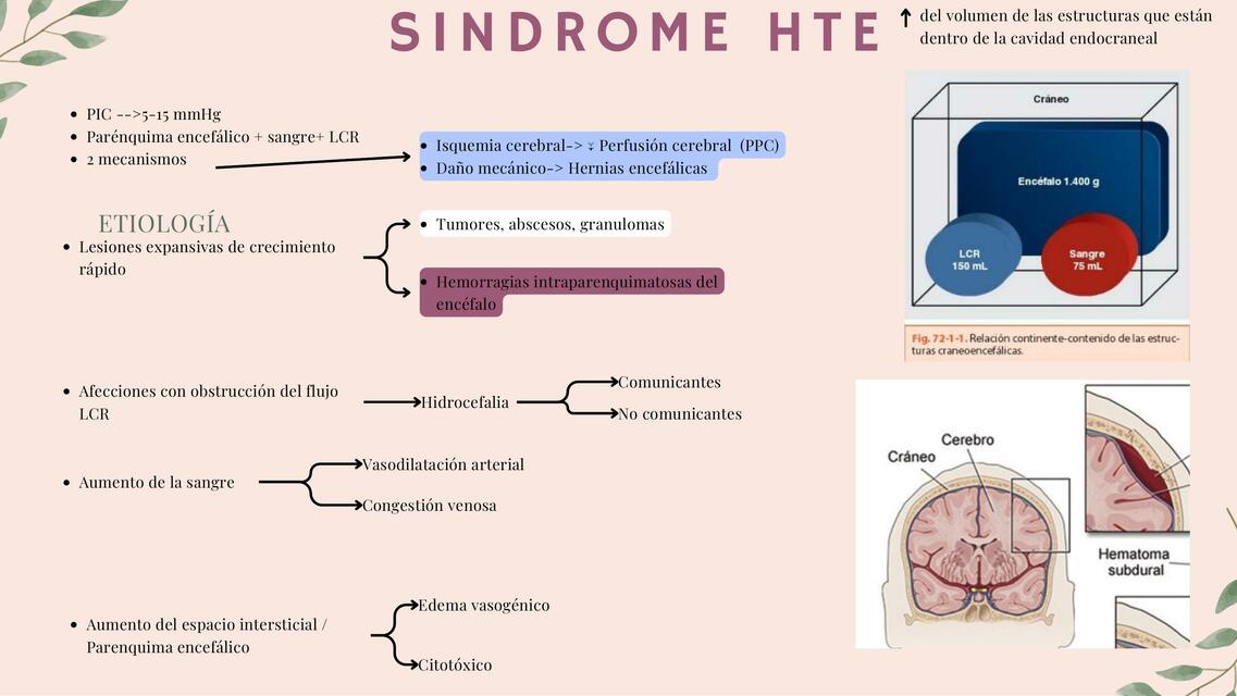 Sindrome hipertensión endocraneal | El Quisquilloso Med | uDocz