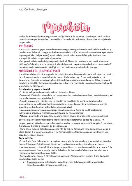 Microbiota | IMC | uDocz