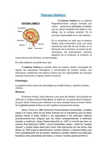 Historia del sistema limbico | Celeste Codutti | uDocz
