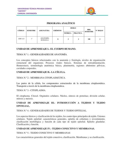 Programa Analítico 28 7 24 Jose Colque Udocz
