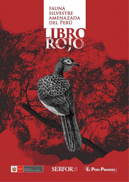 libro rojo | Ivanna | uDocz
