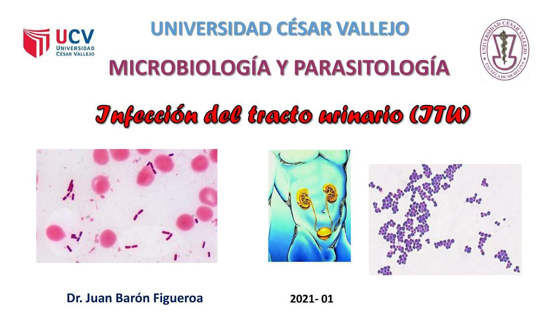 Clase 09 ITU Dr Barón | Renzo vilchez | uDocz