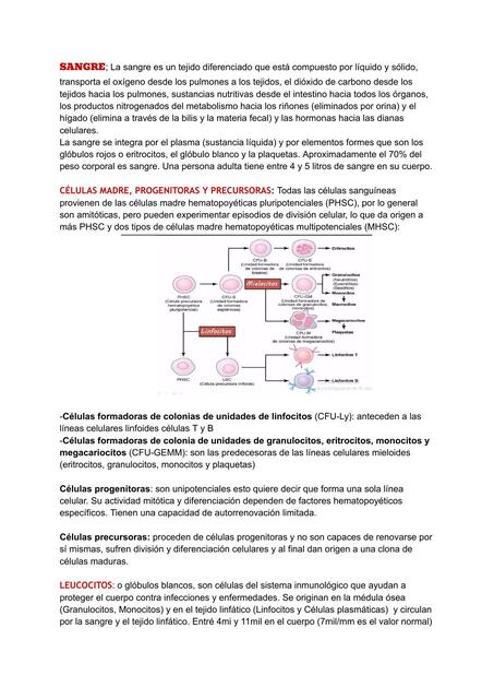 SANGRE | Valentina | uDocz