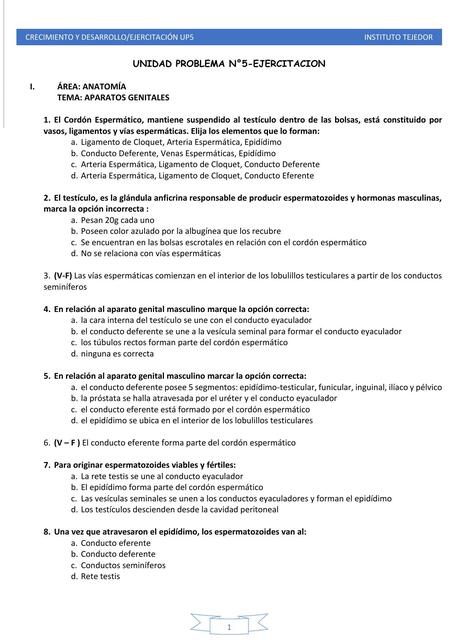 Unidad problema n 5 - ejercitación | Agostina Yacono | uDocz
