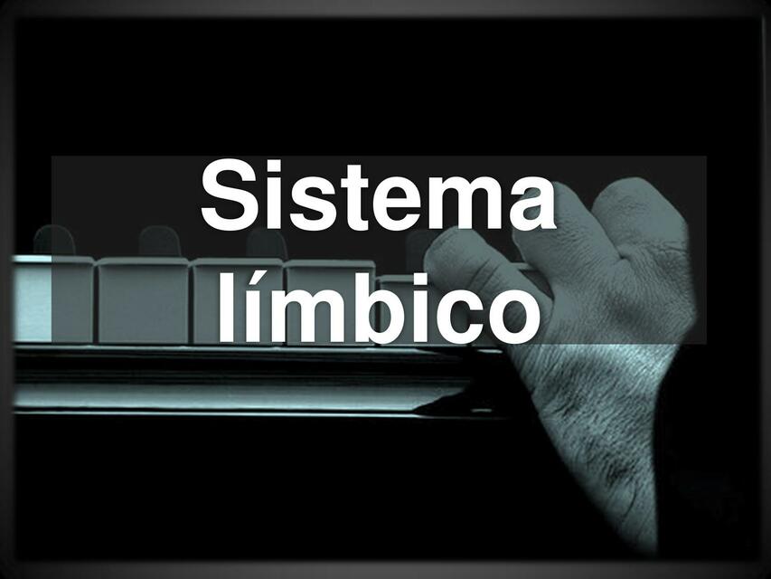 Powerpoint del sistema limbico | Celeste Codutti | uDocz