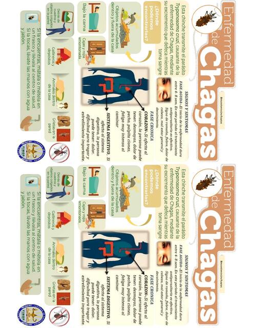 Folleto Chagas | Romi Zeballos | uDocz