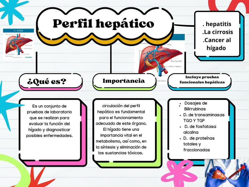 perfil hepatico | Evelyn | uDocz