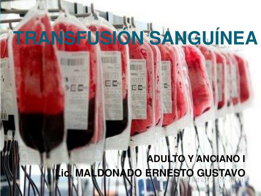 TRANSFUSION SANGUINEA 1 | SOL | uDocz