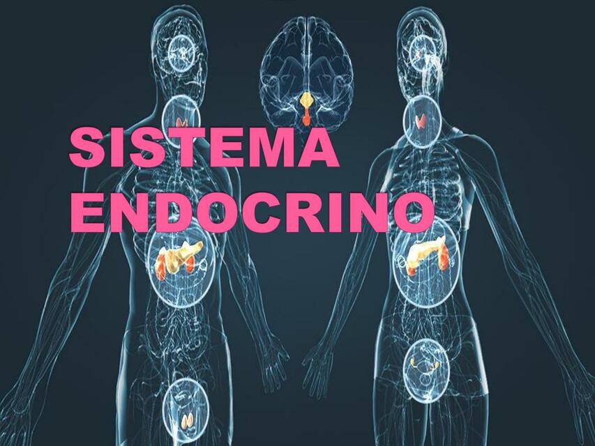 tiroides clase | SOL | uDocz