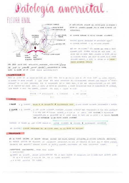 PATOLOGIA ANORRECTAL | Mayté Suárez | uDocz