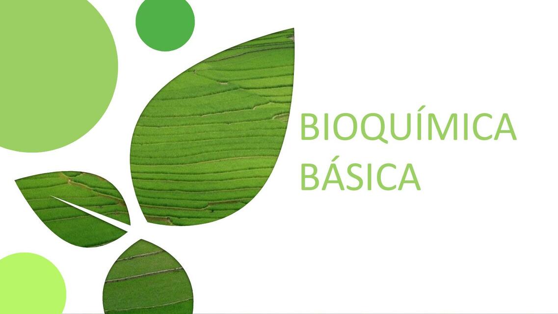 Bioquímica básica | karol joselin jimenez ortega | uDocz