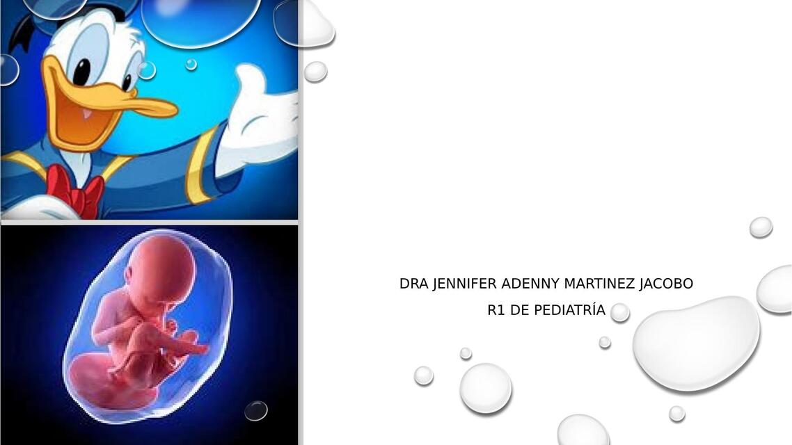 DESARROLLO FETAL Y NEONATAL | Erick | uDocz