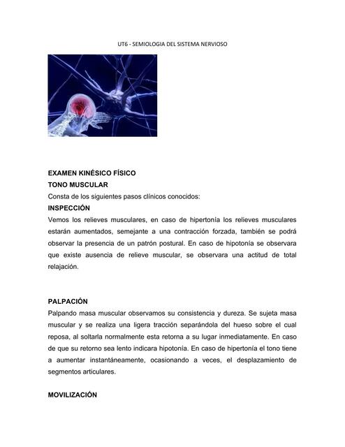 Semiologia Del Sistema Nervioso | Celeste Codutti | uDocz