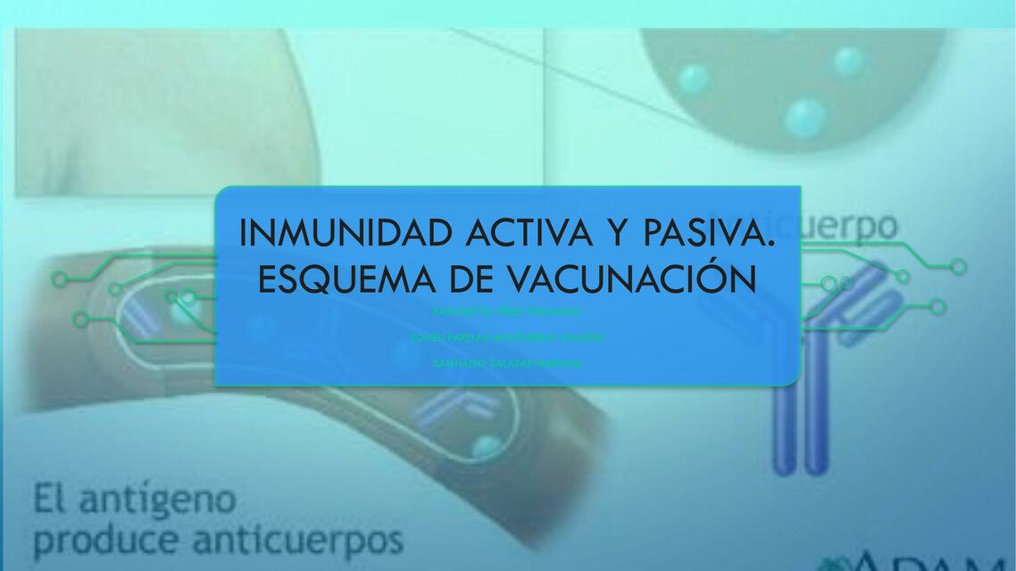 Flashcards de Inmunidad Activa Pasiva Esquema de Vacunación | Por ...