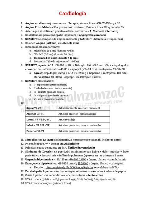 JOYAS ENARM | Caste | uDocz