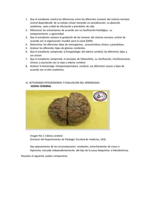 GUIA SNC LAB I PATO II | Manuel Recinos | uDocz