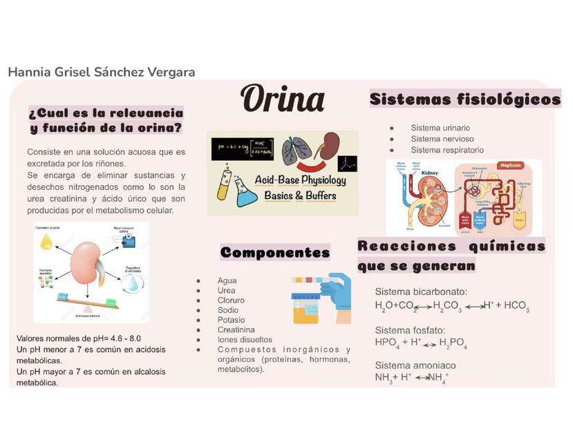 INFOGRAFÍA pH | Hannia Grisel Sánchez Vergara | uDocz