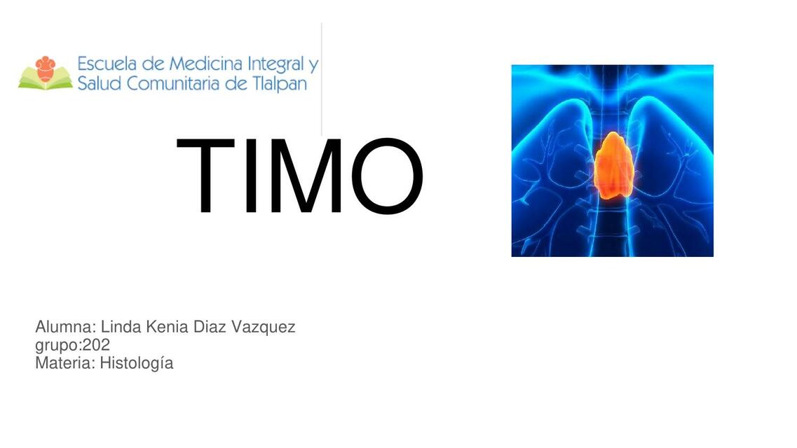 TIMO | Linda Kenia | uDocz