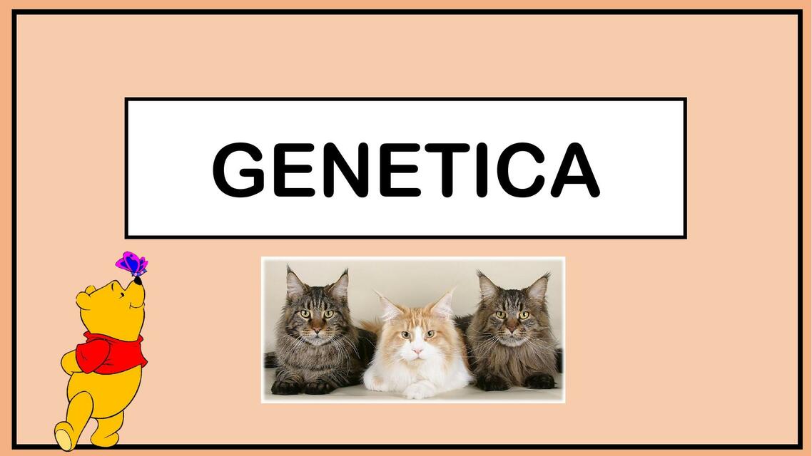 Flashcards de genetica | Por Yoselin Condori | uDocz