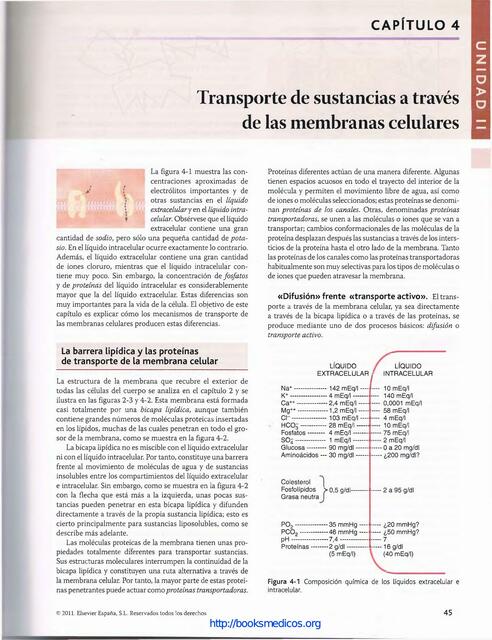 Guyton y Hall Tratado de fisiologia medica 12 Edic | KATHERINE | uDocz