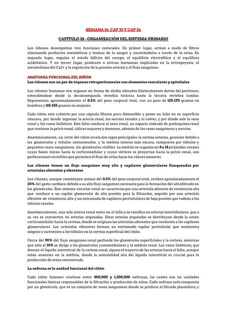 BORON CAP 33 Y CAP 34 | JULIO SERNA | uDocz