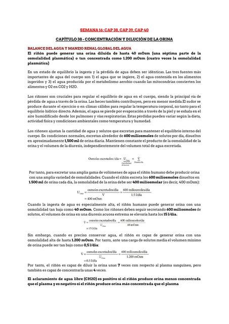 BORON CAP 38 CAP 39 CAP 40 | JULIO SERNA | uDocz