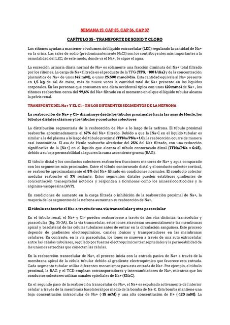 BORON CAP 35 CAP 36 CAP 37 | JULIO SERNA | uDocz