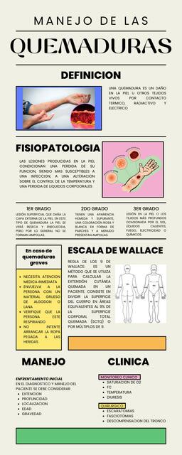 Infografias tema 67 y 8 | Luzcely Díaz | uDocz