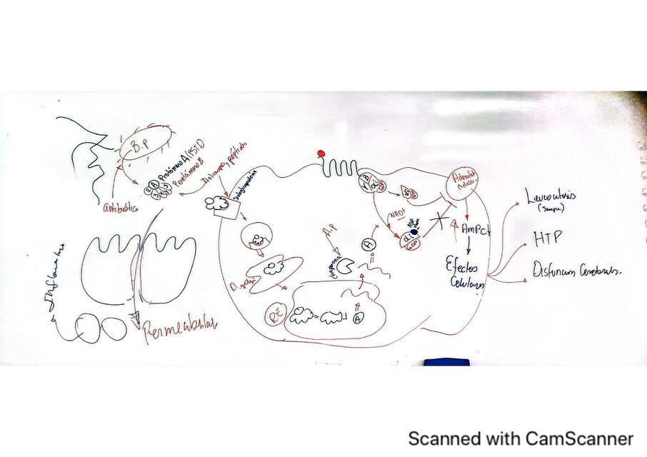 CamScanner 08 16 10 40 | Ariana Rivas | uDocz