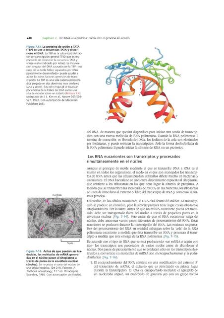 Lectura 3 Semana 09 | Ariana Rivas | uDocz