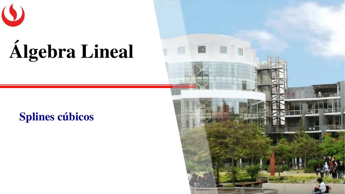 Splines cúbicos PPT | Daniella Vargas | uDocz