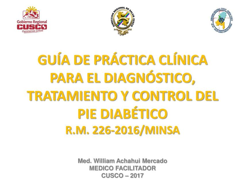 3 Guia De Practica Clinica Para El Diagnostico De Daniela Flores