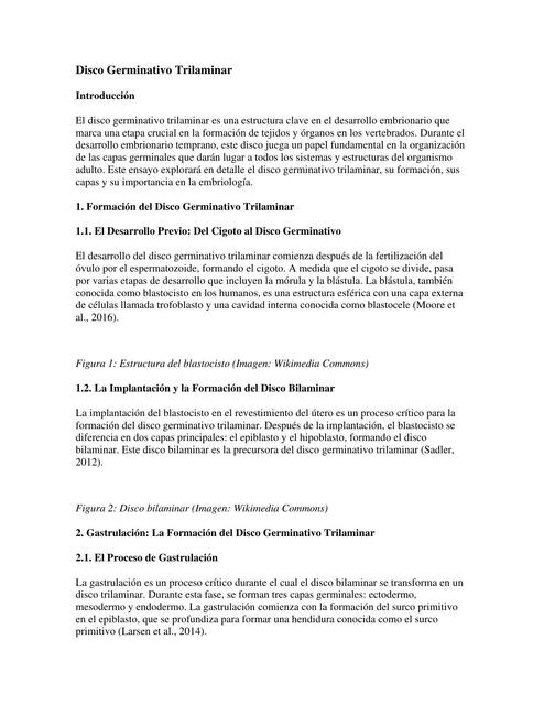 Disco Germinativo Trilaminar | META | uDocz
