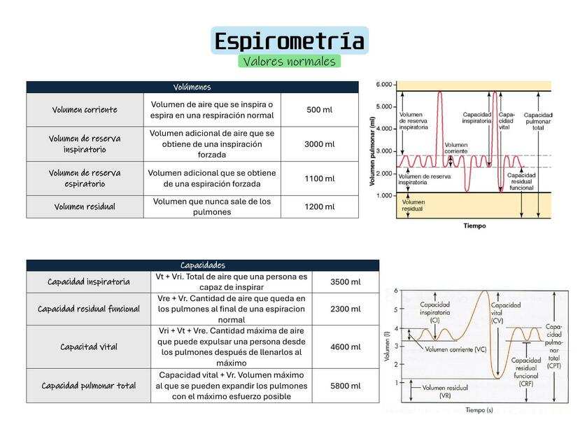 Espirometría - Valores normales | Mariagabriela Custodio | uDocz