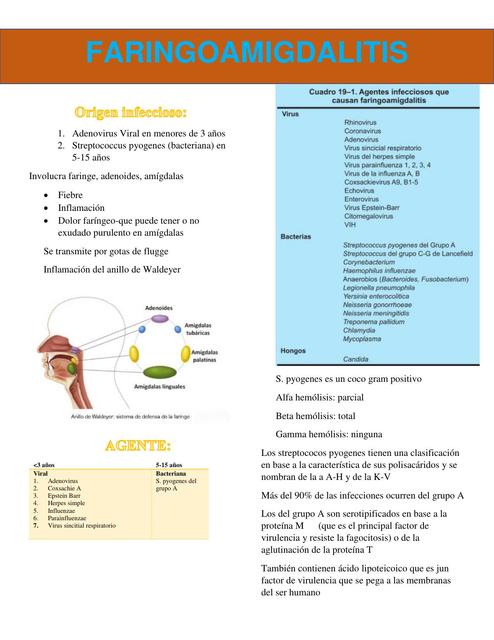 Faringoamigdalitis | Patu MG | uDocz