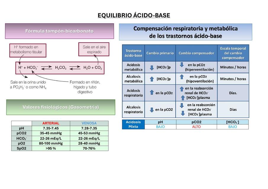 EQUILIBRIO ÁCIDO BASE | Neus | uDocz