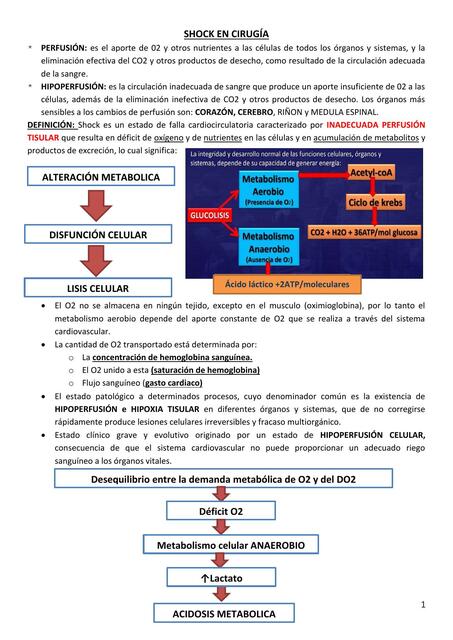 15 SHOCK EN CIRUGÍA | Brenda Huerta | uDocz