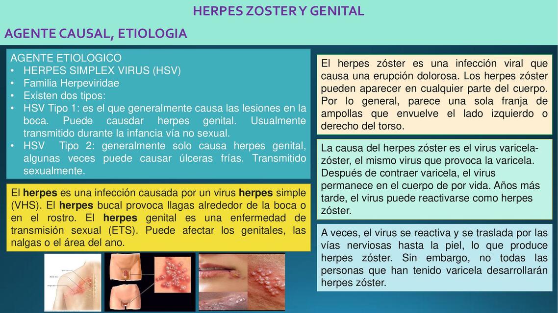 Herpes zoster y genital | Celeste Codutti | uDocz