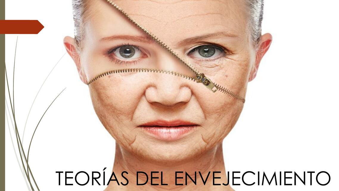 Teorías del envejecimiento | Gabriel Quiroga | uDocz