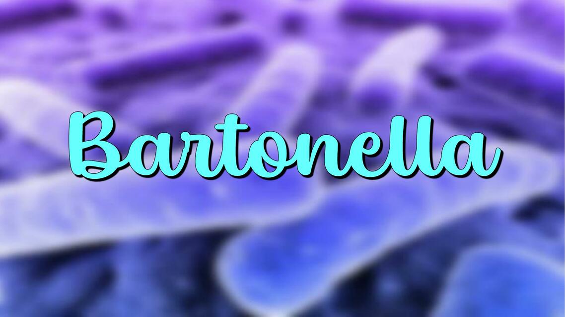 BARTONELLA | Apuntes Medicos | uDocz
