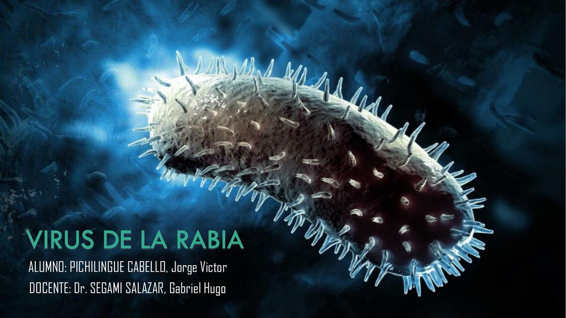 RABIA EXPOSICION CUARTO MODULO | Apuntes Medicos | uDocz