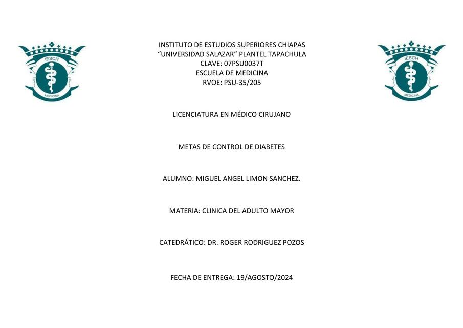 METAS DE CONTROL DE DIABETES | MIGUEL ANGEL LIMON SANCHEZ | uDocz