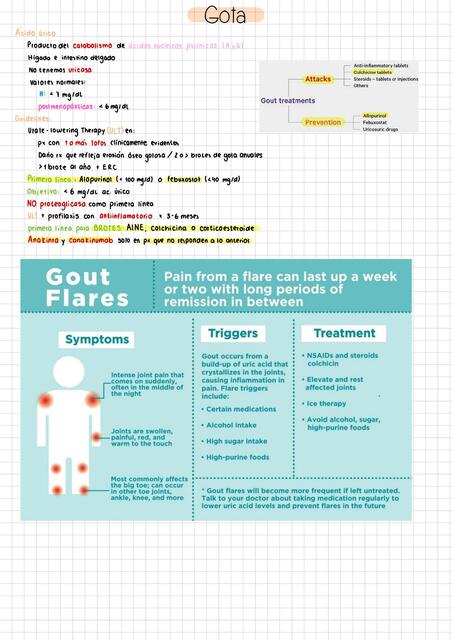 Farma 2 | Andrea Lopez | uDocz