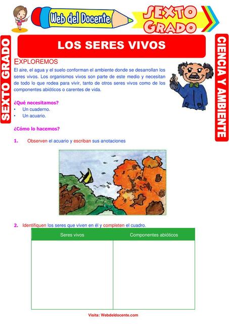 Los seres vivos | Lili | uDocz