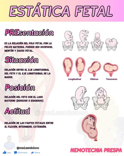 ESTÁTICA FETAL | Víctor Rodriguez Botero - @med.semioloco | uDocz