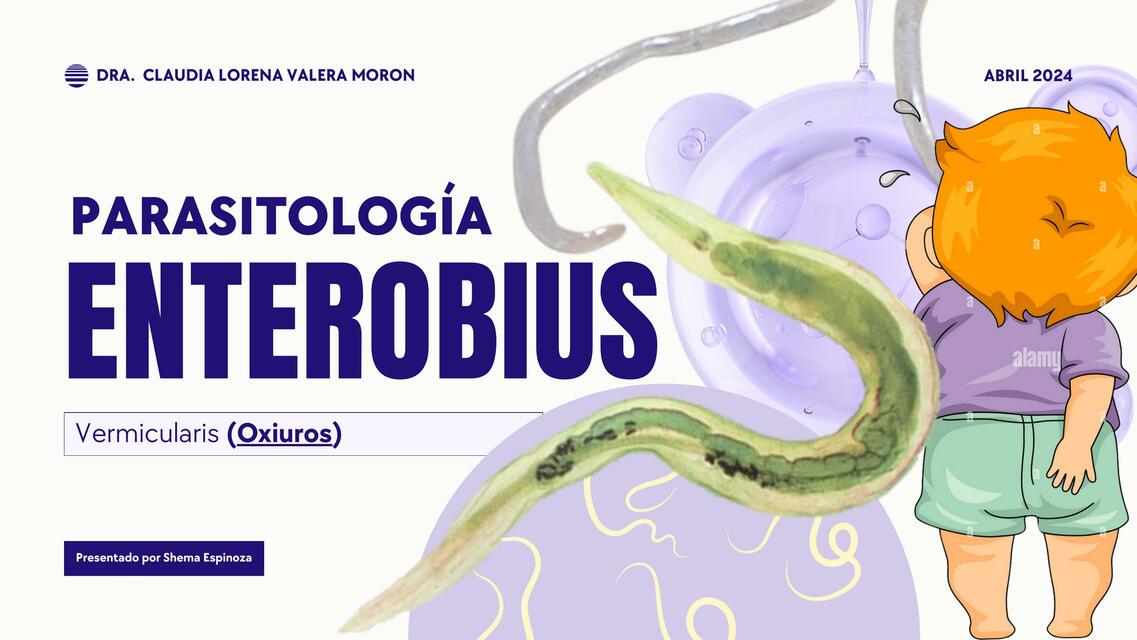 Enterobius Vermicularis Oxiurus Parasitología | SHEMA KIRIA ESPINOZA ...